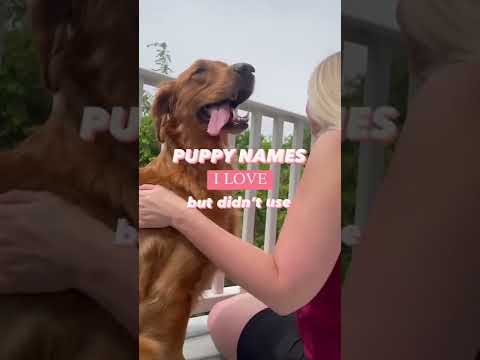 Puppy Name Ideas for Girls | Dog Names I Love But Didn’t Use