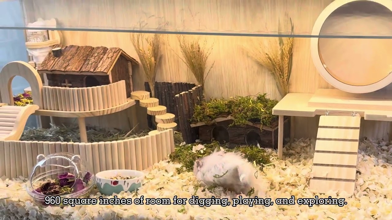 Prolee hamster cage | Amazon’s choice