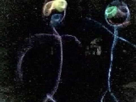 The Stickmen music, videos, stats, and photos | Last.fm
