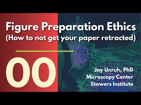 Tips for Scientific Figures – Institute for the Biology of Stem Cells ...