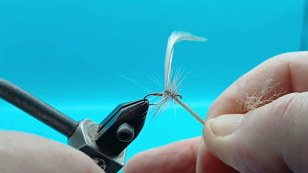 The Sheets Red Quill