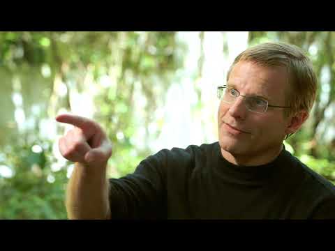 Giulio Tononi - What is Information?