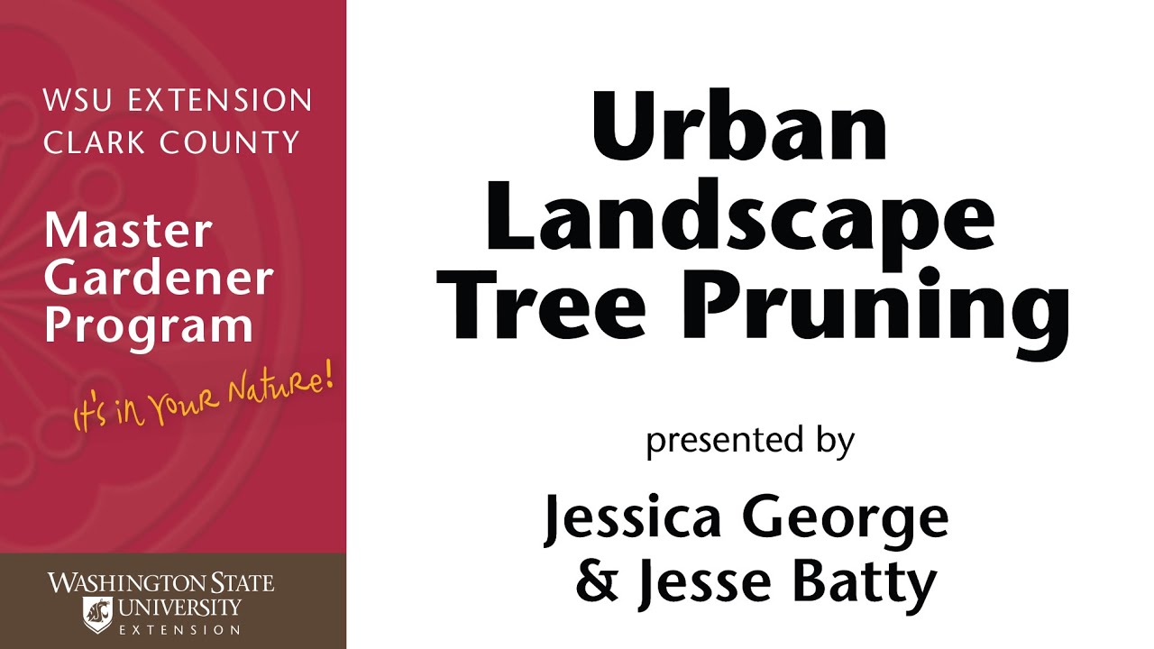 Urban Landscape Tree Pruning with Jessica George and Jesse Batty, City of Vancouver Urban Forestry