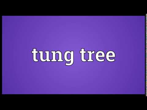 Tung tree Meaning | Wordogram