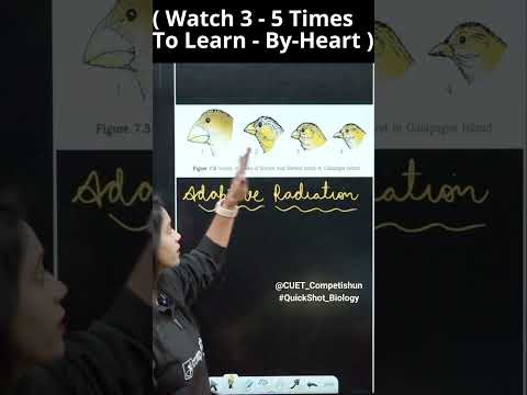 What is " ADAPTIVE RADIATION " With Quickshot Biology | #mamta | #shorts #cuet #biology #cuet2024