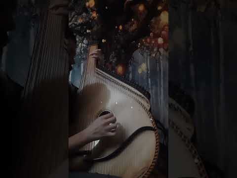A cheerful little tune #music #instrumental #bandura