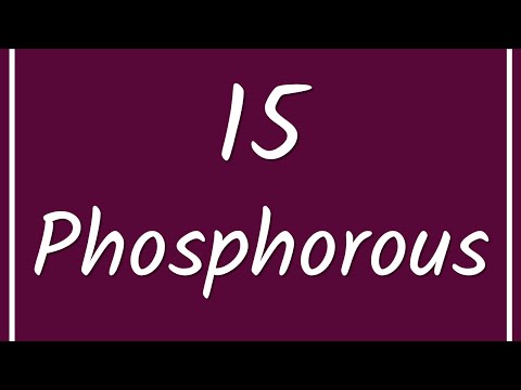 15 Phosphorus - ELEMENT OF A PERIODIC TABLE