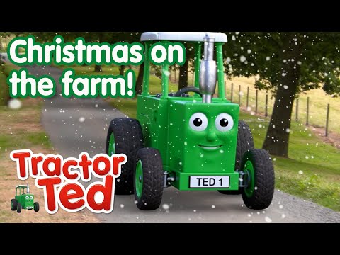 Christmas On The Farm 🎄 | Tractor Ted Clips | Tractor Ted Official Channel