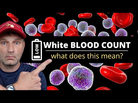 Low White Blood Count | What does this mean?