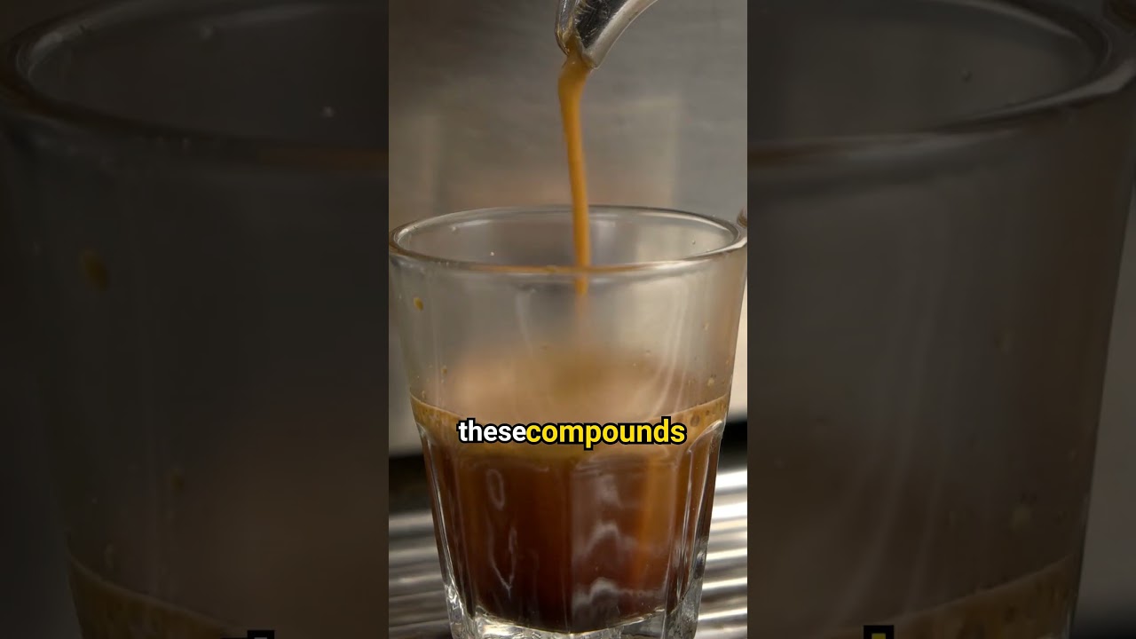 Why Robusta Coffee Stands Out: The Power of Phenolic Compounds in Its Bold Taste