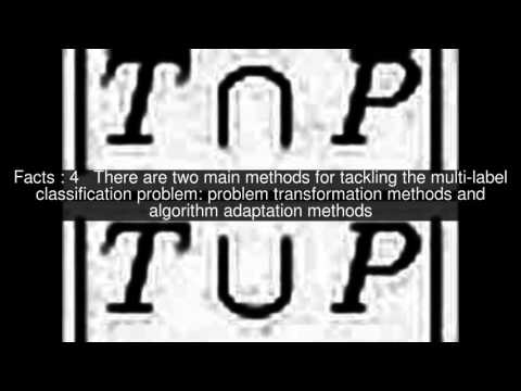 Multi-label classification Top #7 Facts