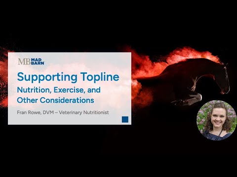 Supporting Topline in Horses: Nutrition, Exercise, and Other Considerations - Mad Barn Vet Talk