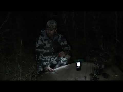 Pro-Tracker Brad Testimonial