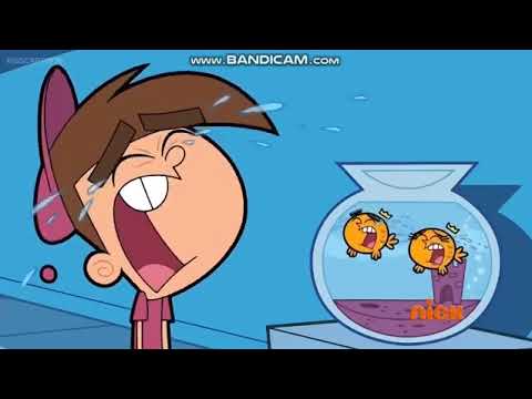 My Reaction That Cartoon Network Website is Shutting Down