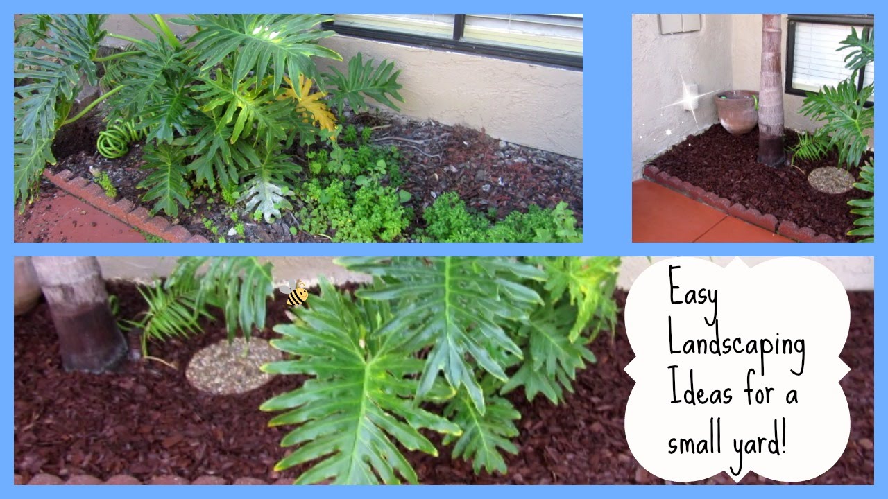 Easy Landscaping Ideas for a Small Yard with Mulch