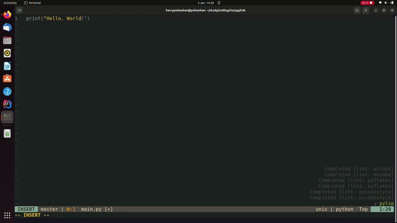 Nvim Integrated with LSP server for Python