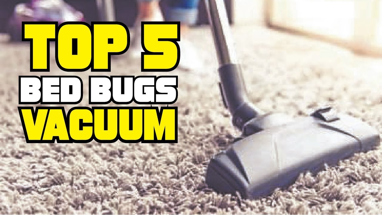 Best Vacuum For Bed Bugs Reviews 2026 | Best Budget Bed Bugs Vacuum (Buying Guide)