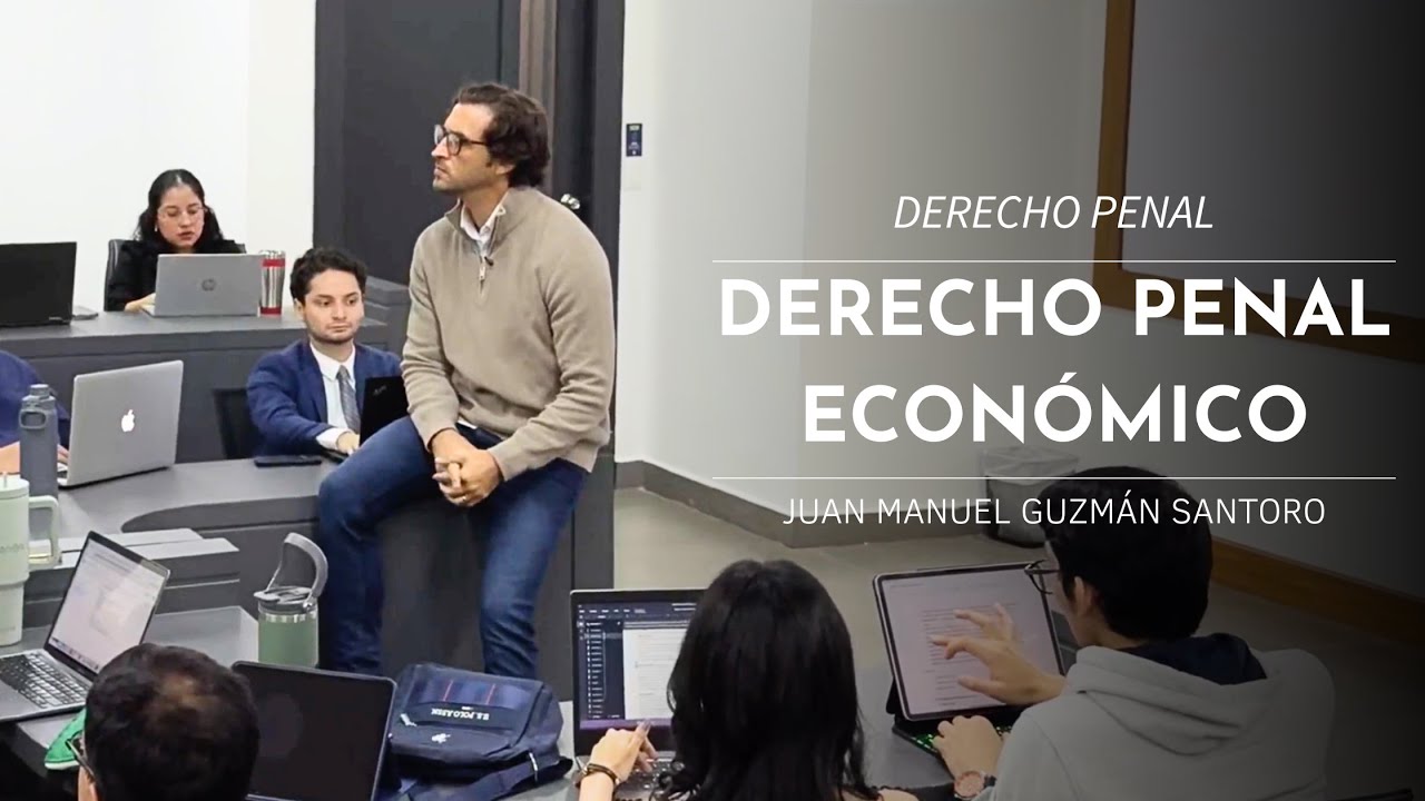 Derecho Penal Económico: Evolución y Debate