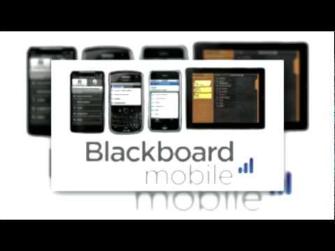 Blackboard 9.1