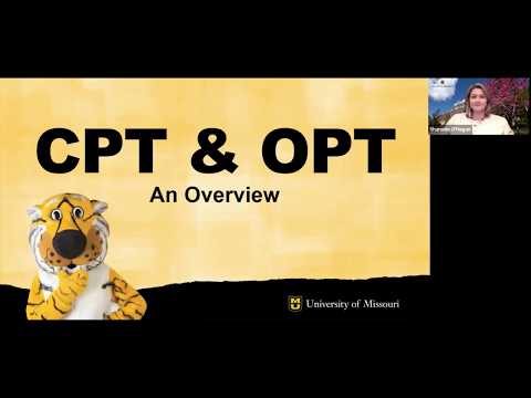 CPT and OPT Explained