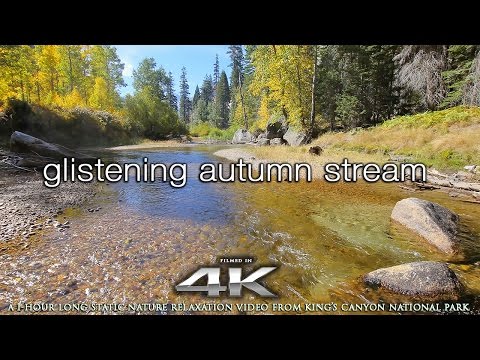 Amazing 4K Scene: Glistening Autumn Stream 1 HR Nature Relaxation Static Scene in UHD