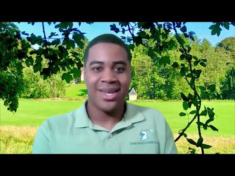 Introducing Green Knight Outdoor Services