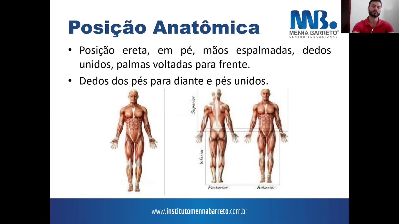 Módulo Anatomia  - 1   Conceitos de Anatomia