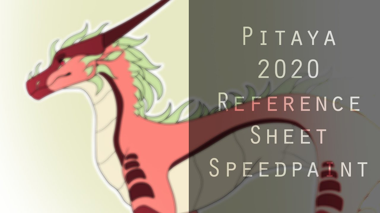 Pitaya OC Reference Sheet [Speedpaint]