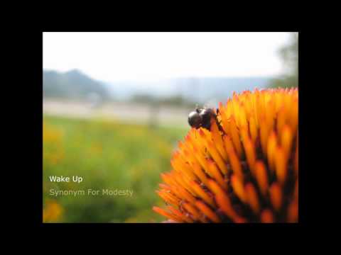 Wake Up - Synonym For Modesty