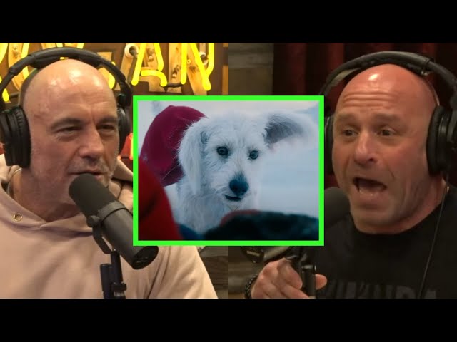 "The web thing is so ridiculous" - When Joe Rogan made the case for ...