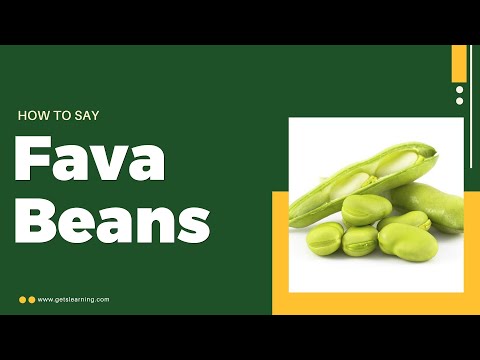 How to Say Fava Beans in American English