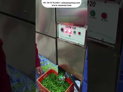 Chilli Cleaning Machine at Best Price in India