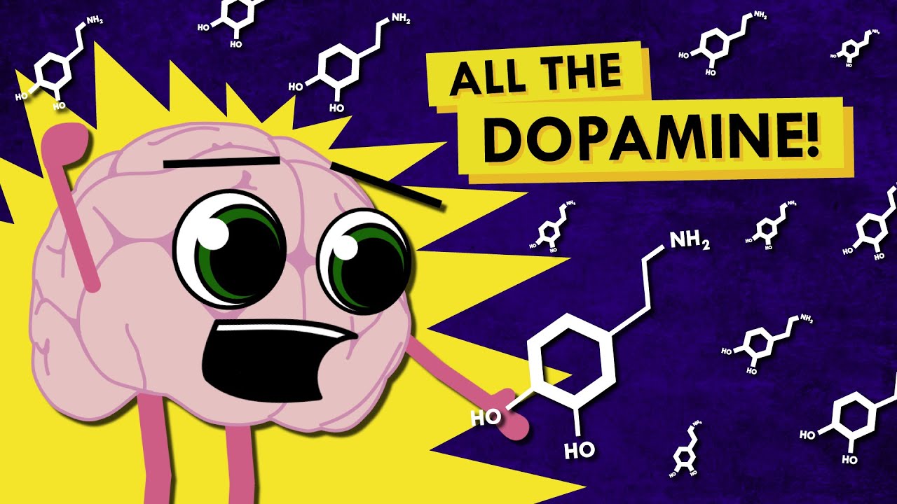 Understanding Dopamine's Role in Learning and Motivation for ADHD ...