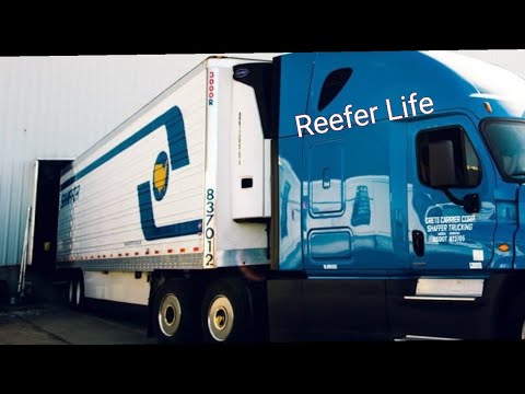 What is Reefer Life Like?