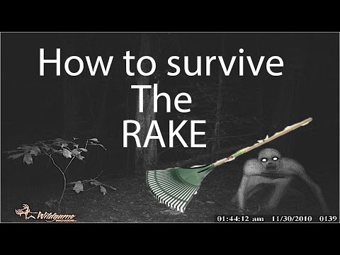 Steam Community :: Rake