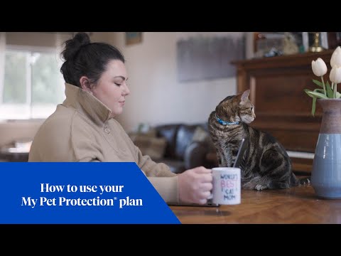 Webinar Payroll | Employees | PetsNationwide.com
