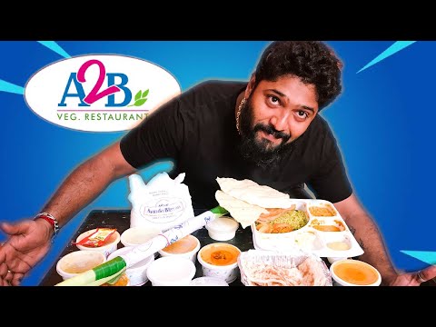 A2B Thali Meals and Mini Lunch review !! Tuber Buddy