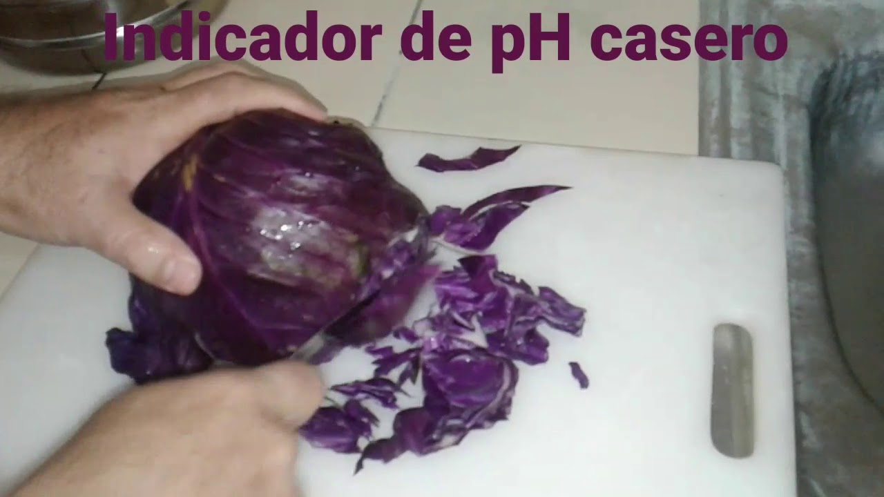 Homemade pH Indicator/Purple Cabbage