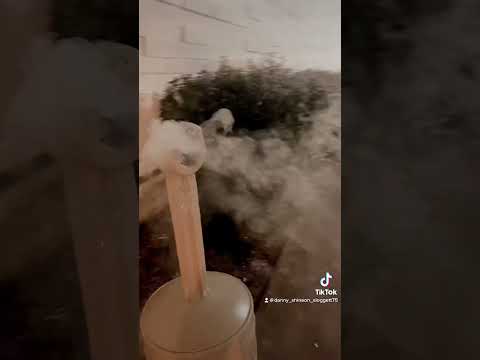 Cigarette fire, Bahamas airport