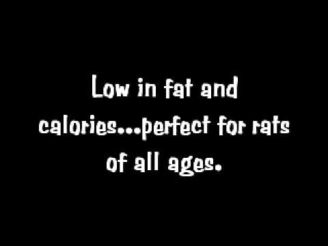 The BEST Pet Rat Supplement!