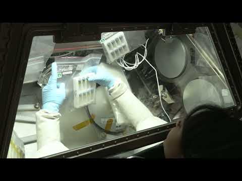 Axiom Mission 2 Science in Space