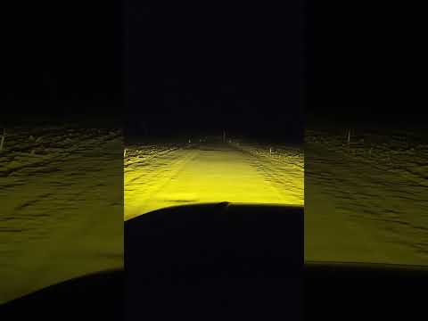 Diode Dynamics SS3 Pro amber fog lights vs bright headlights in snow Ford F150 #diodedynamics