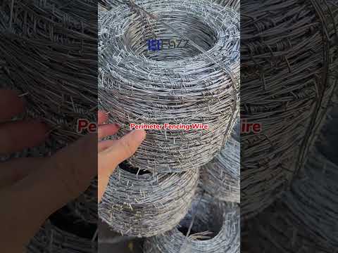 Zinc Coated Steel Barbed Wire with Double Strand Wires, Galvanized Barbed Wire for Security Fencing