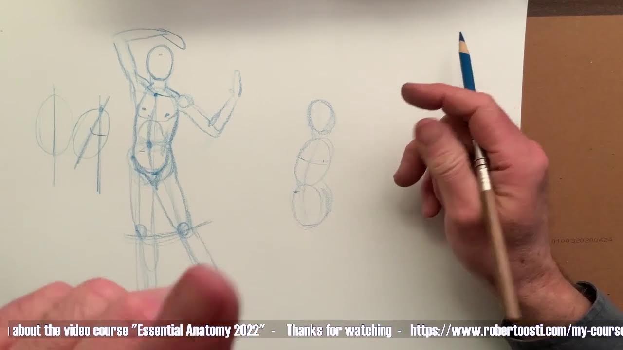 Essential Anatomy by Roberto Osti - Preview 1 & 2