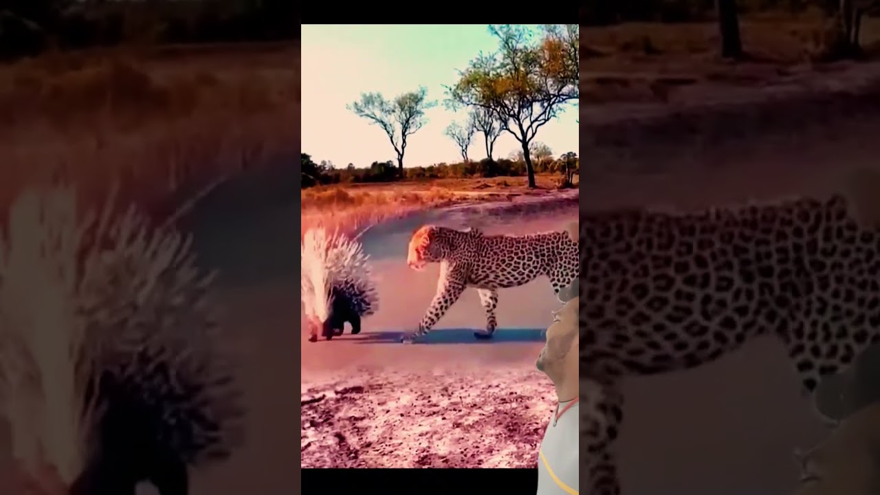 o JulyceB g #shortsPublish#Copy Keyword