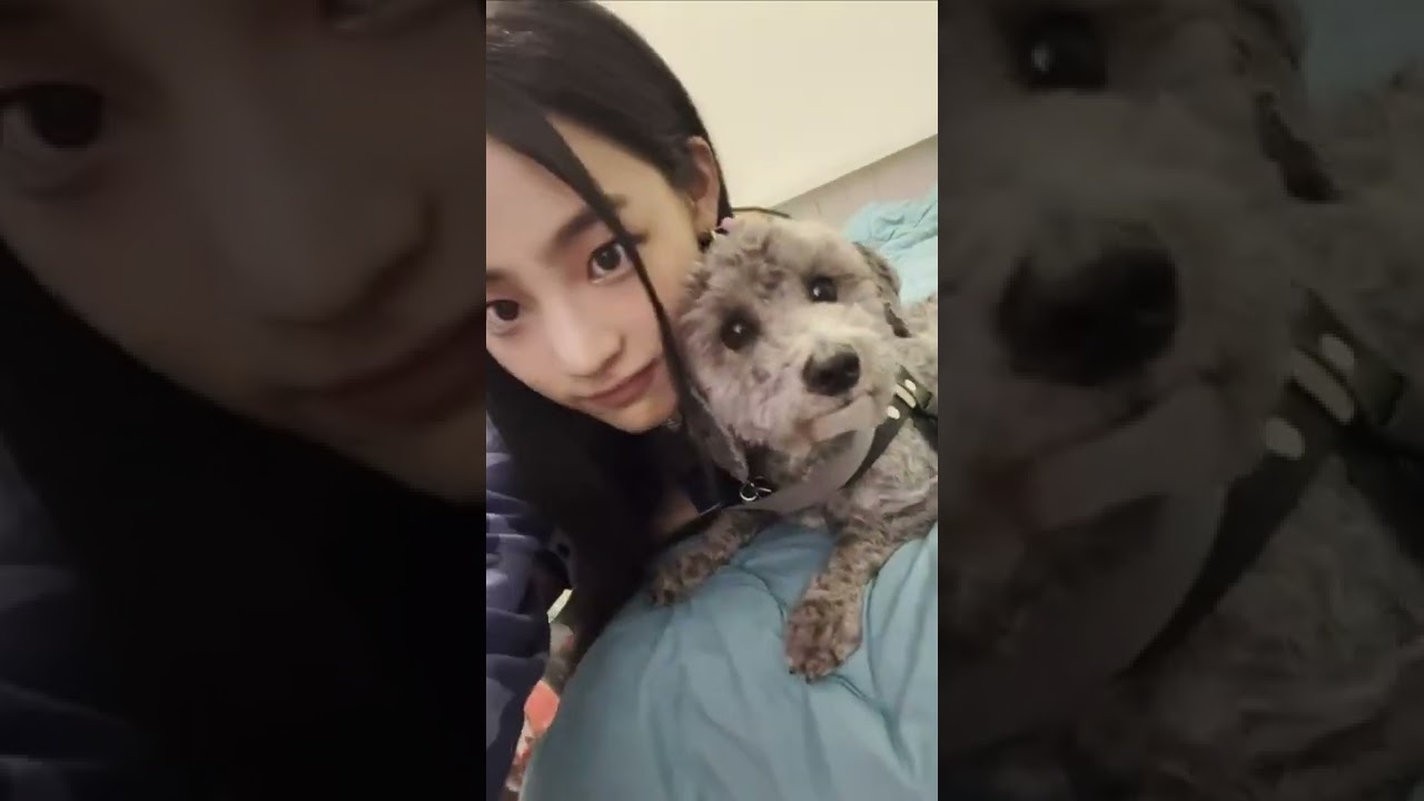 Pin on NewJeans vide Minji phoning update