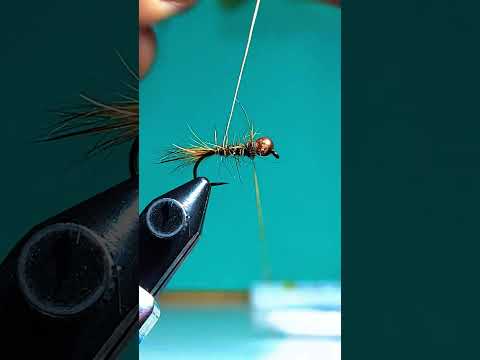 Atado de moscas oreja de liebre con hackle de ardilla #montajedemoscas #fishing #montajedeninfas
