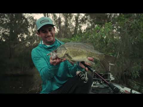 All-New Shimano Artiesta: Crafted for Precision, Strength and Versatility!