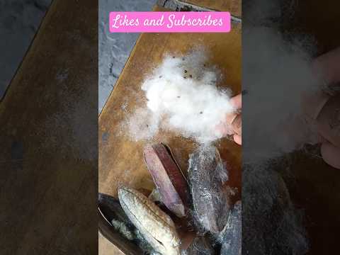 Jaldi Dekho Semal Ka Fur????#nature #youtube #trending #village #viralvideo