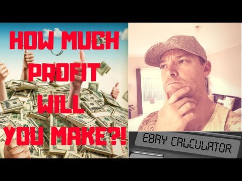 Ebay Fee Calculator - How Much Profit Will You Make